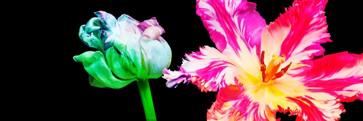 Musée de la Banque du Canada